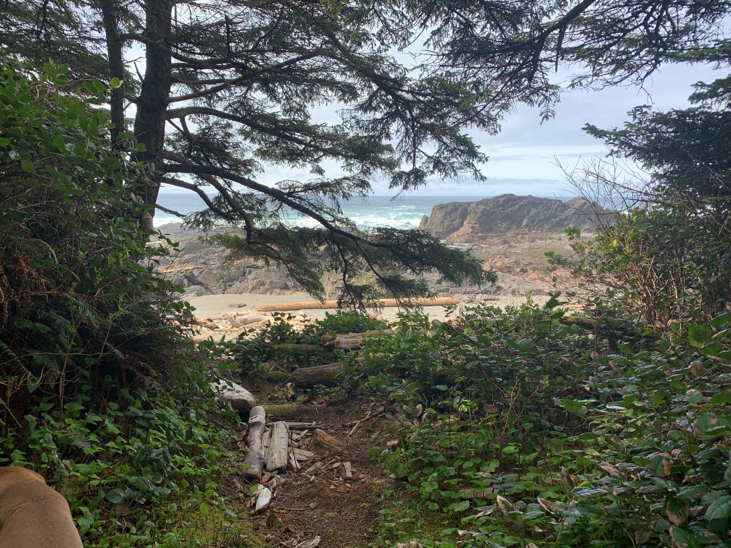 Competitor Profiles - Van Isle 360 - International Yacht Race